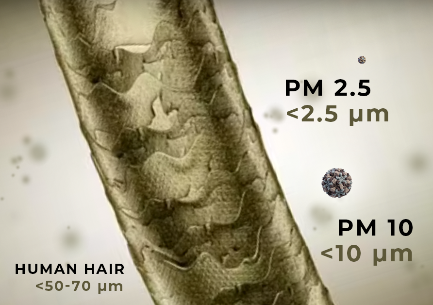 Particulate Matter | RAECO Rents